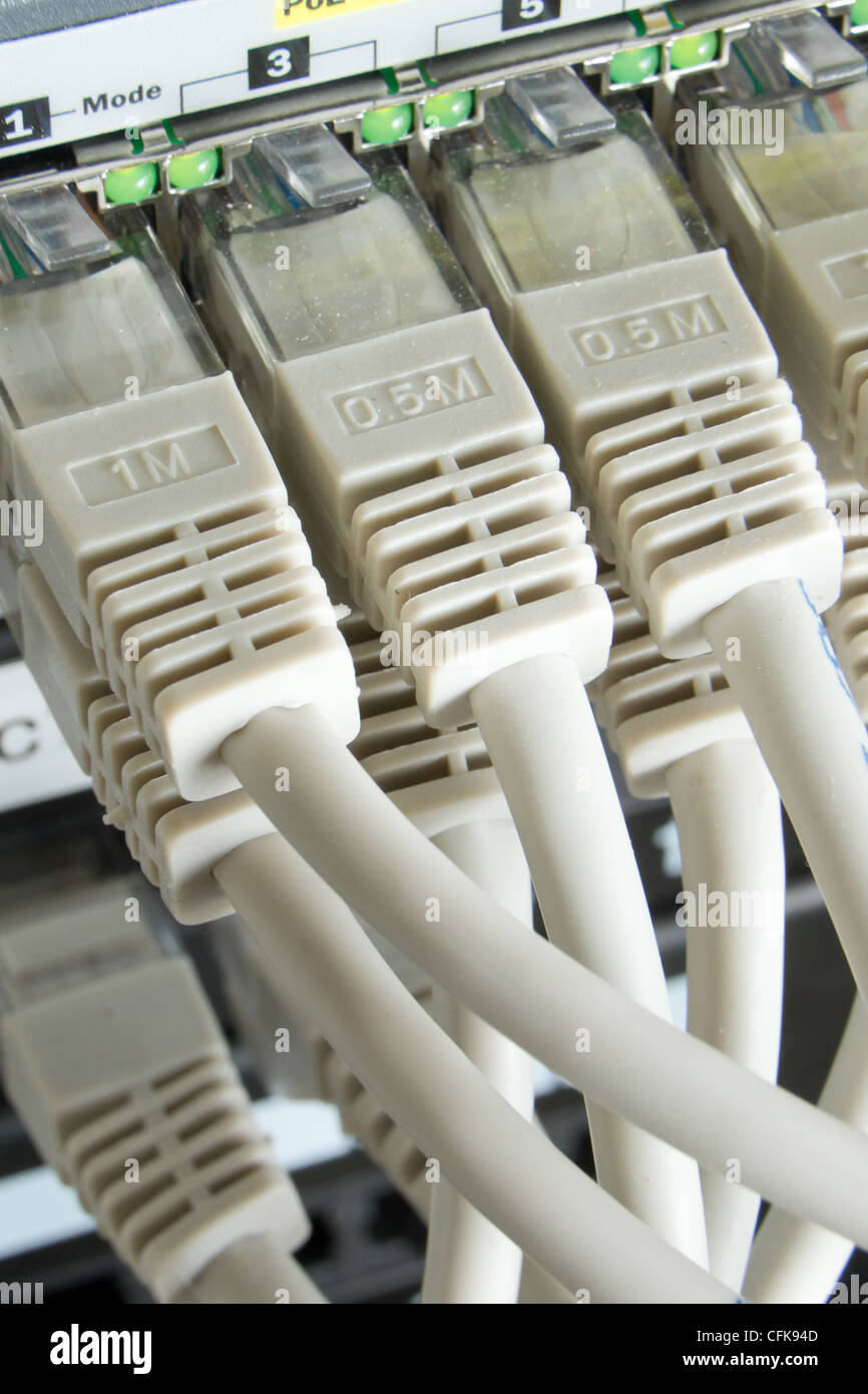close up of network cables connected to switch Stock Photo - Alamy