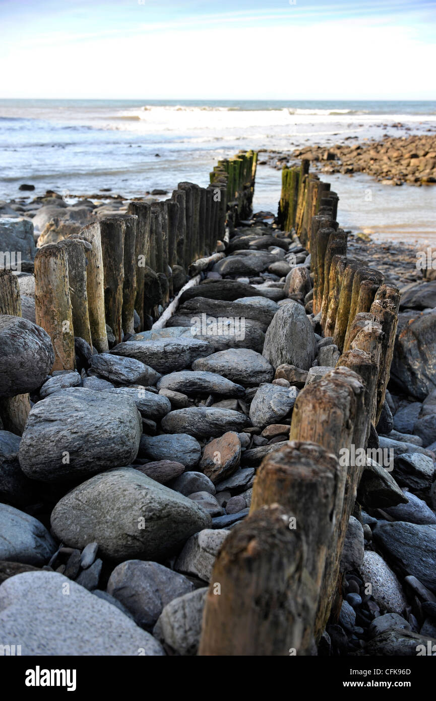 Coastal defences beach groin hi-res stock photography and images - Alamy