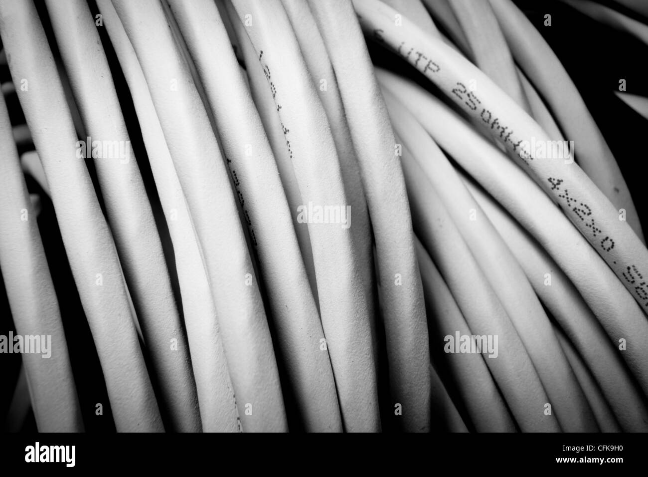 close up of network cables Stock Photo - Alamy