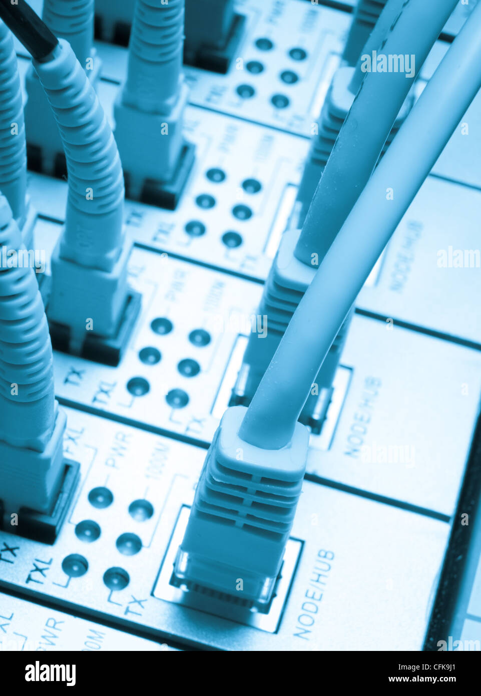 close up of network cables connected to switch Stock Photo - Alamy