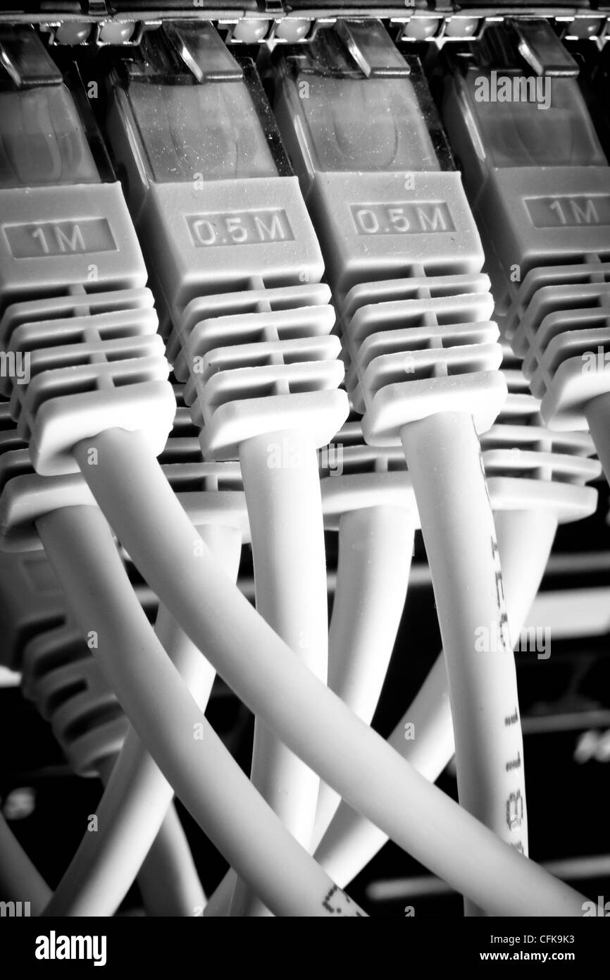 close up of network cables connected to switch Stock Photo - Alamy