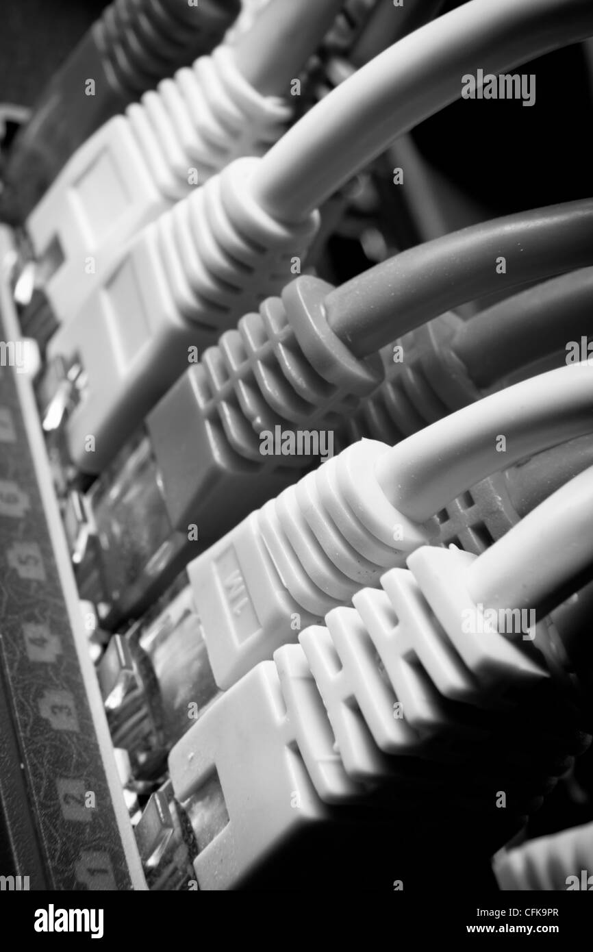 close up of network cables connected to switch Stock Photo - Alamy