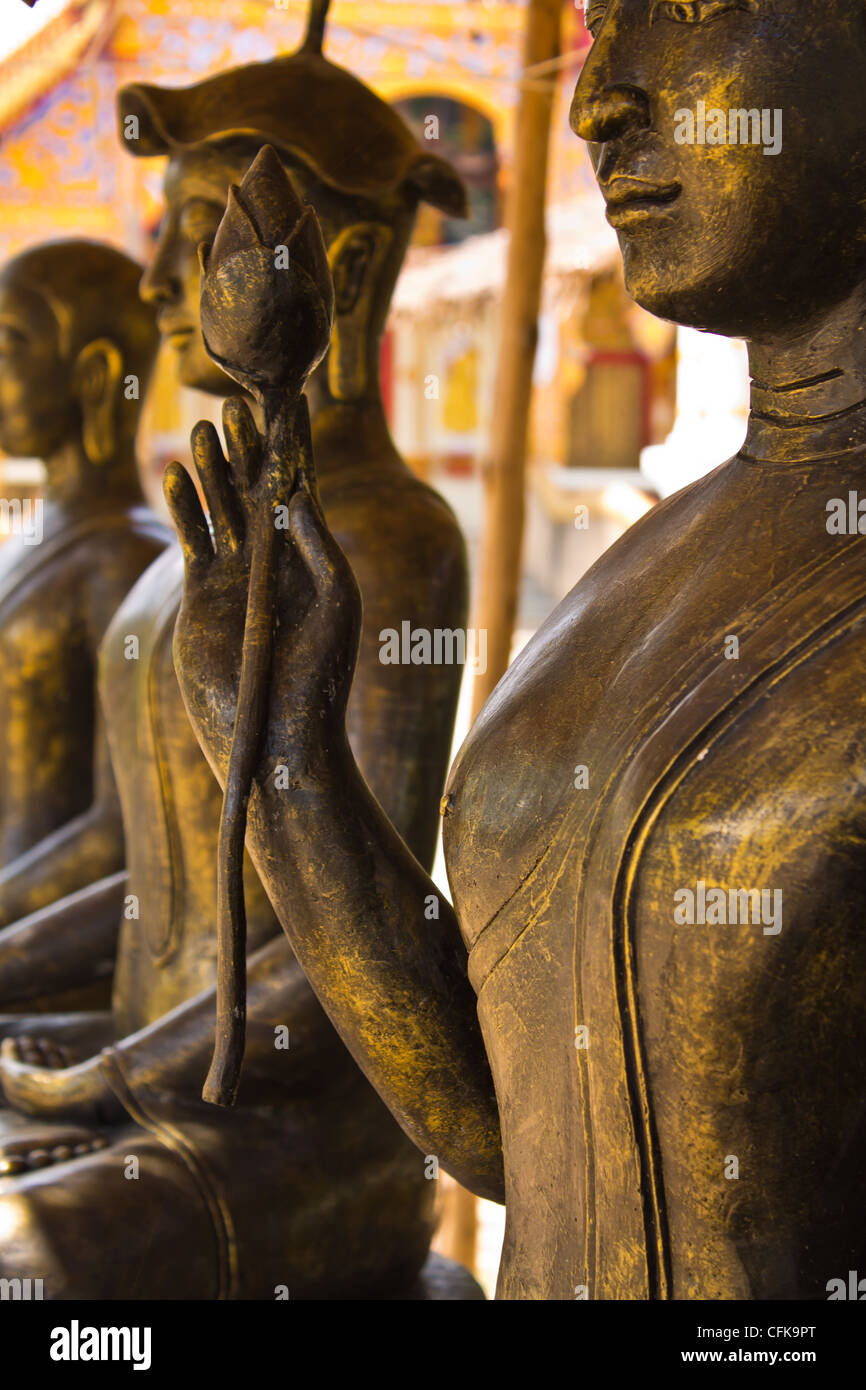 Silver shin hi-res stock photography and images - Alamy