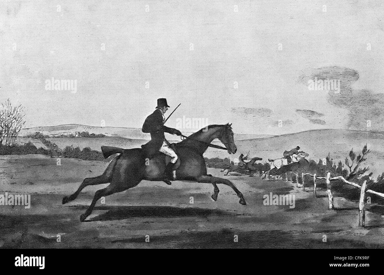 Charging horse hi-res stock photography and images - Alamy