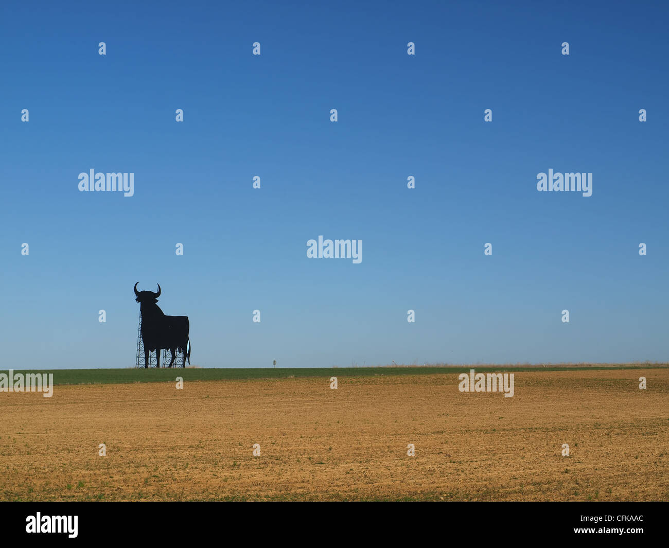 Spanish bull sign hi-res stock photography and images - Alamy