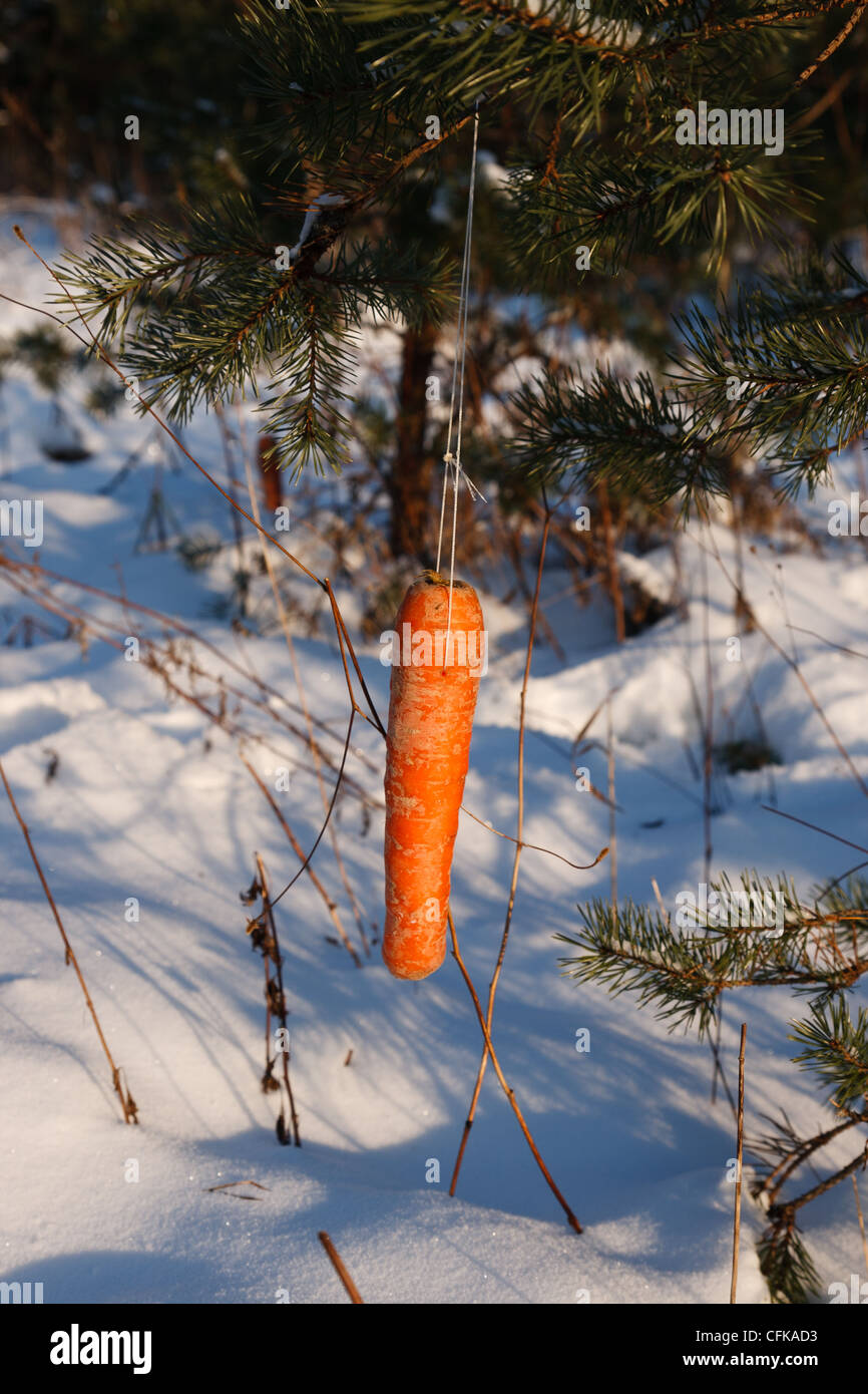 Feed tree hi-res stock photography and images - Alamy