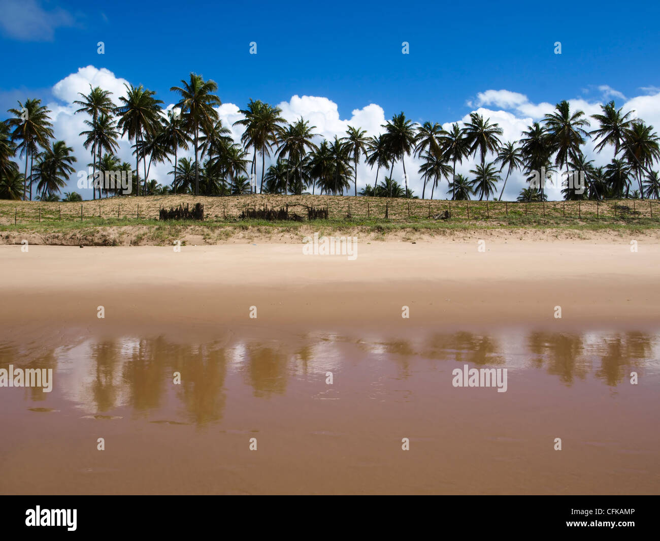 view of a brazilian beach Stock Photo - Alamy
