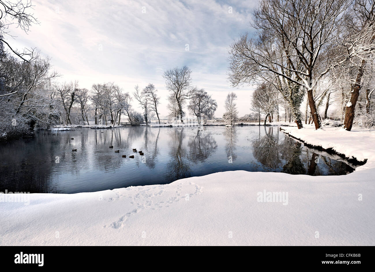 Ducks on Keld Head pond, Pickering in winter snow Stock Photo - Alamy