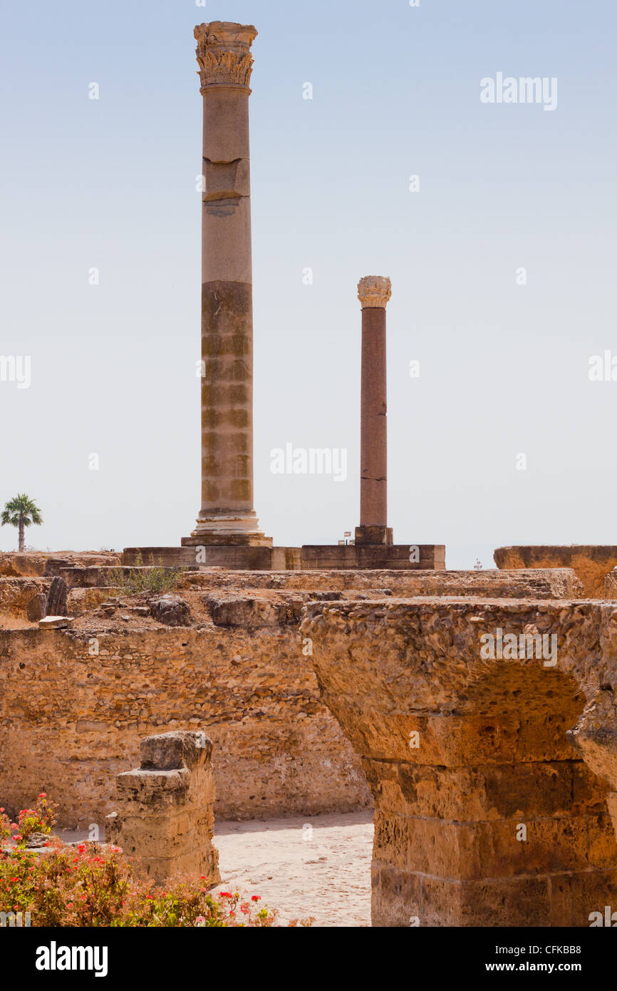 Ruins of Carthage, ancient Roman bath Stock Photo - Alamy