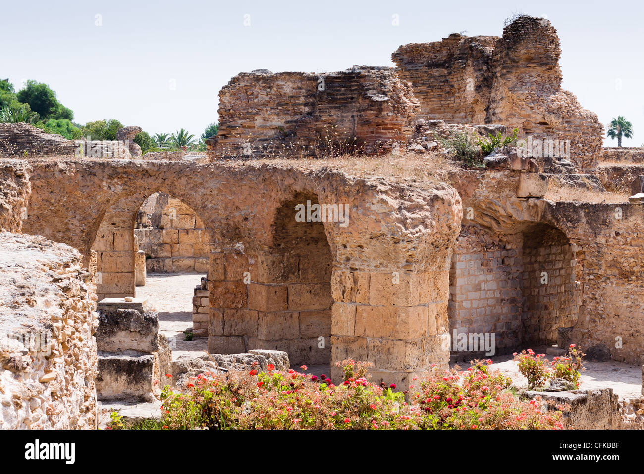 Ruins of Carthage, ancient Roman bath Stock Photo - Alamy