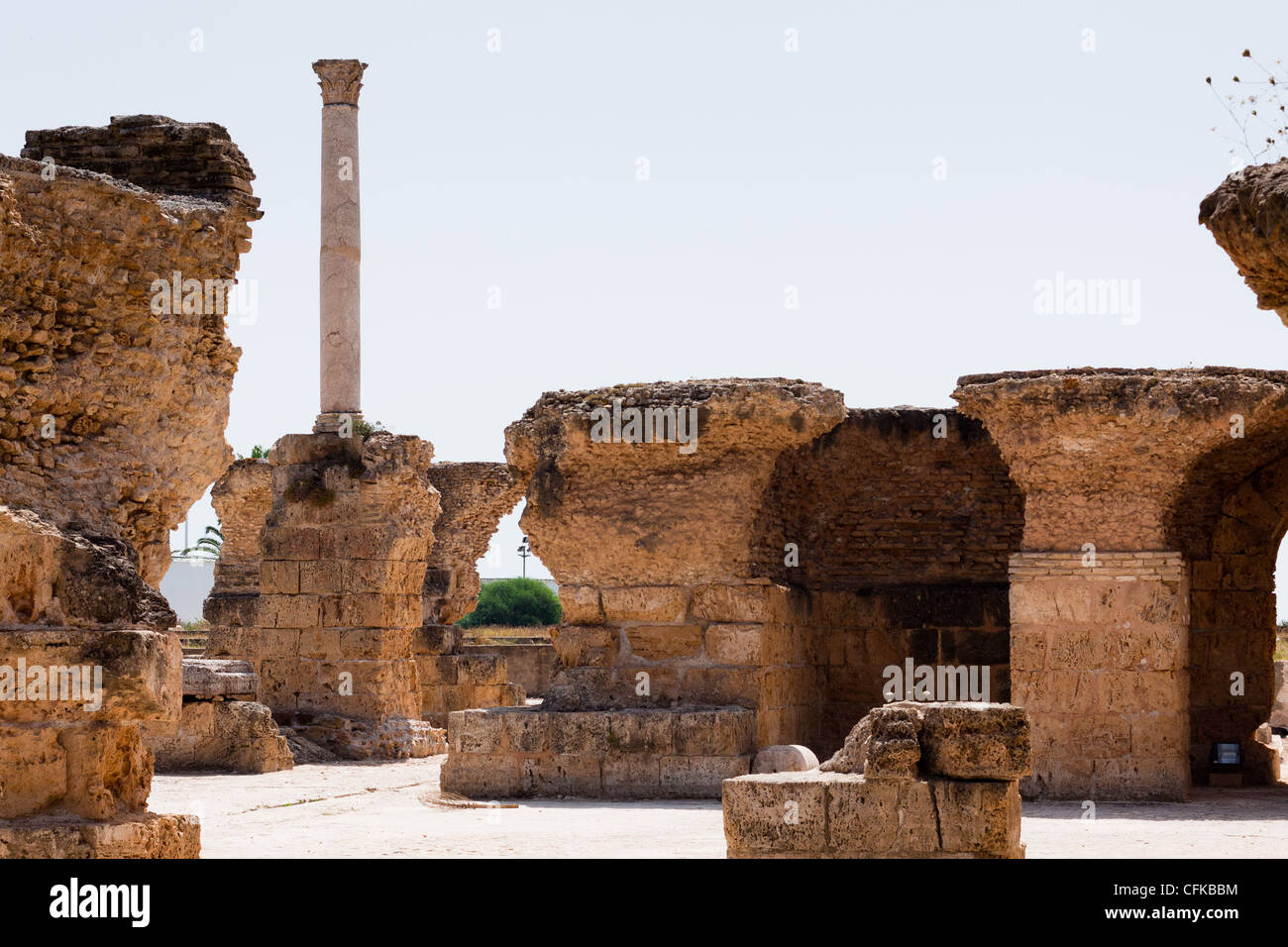 Ruins of Carthage, ancient Roman bath Stock Photo - Alamy