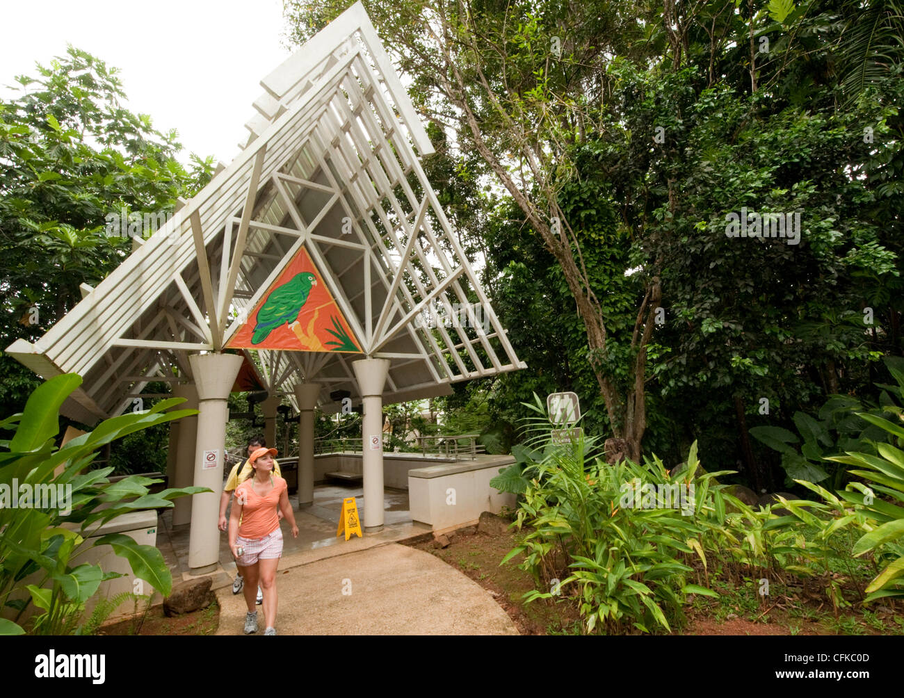 A green parrot on a sign at the entrance to El Yunque National ...