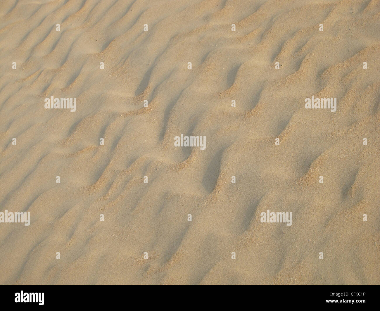 Little sand- dunes on the beach Stock Photo - Alamy