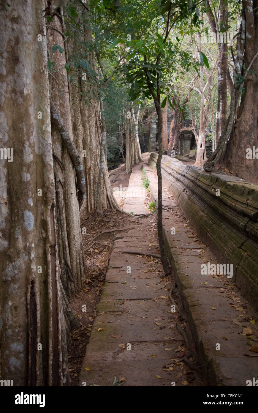 Beng Melea Ruins High Resolution Stock Photography and Images - Alamy