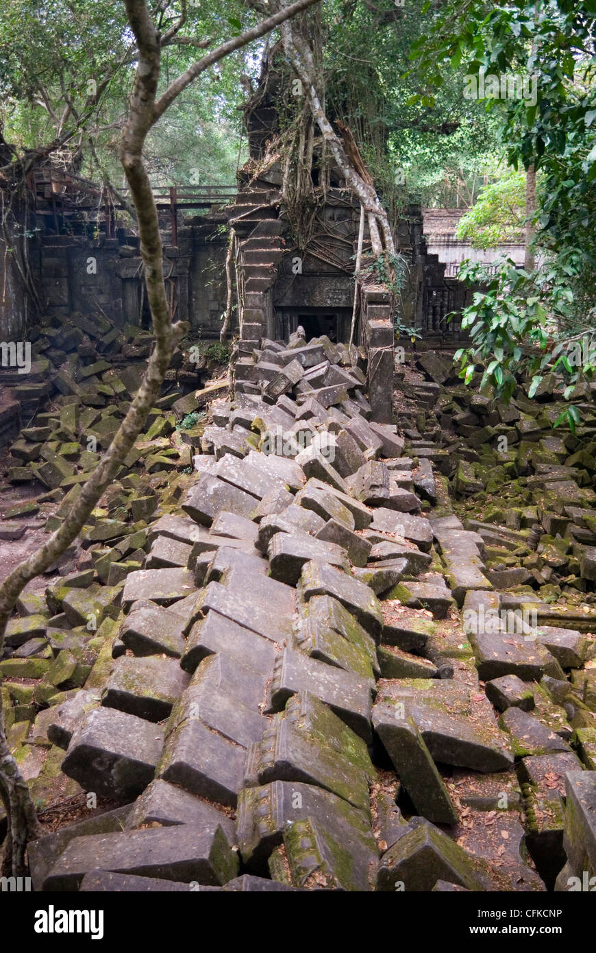 Beng Melea detail Stock Photo - Alamy