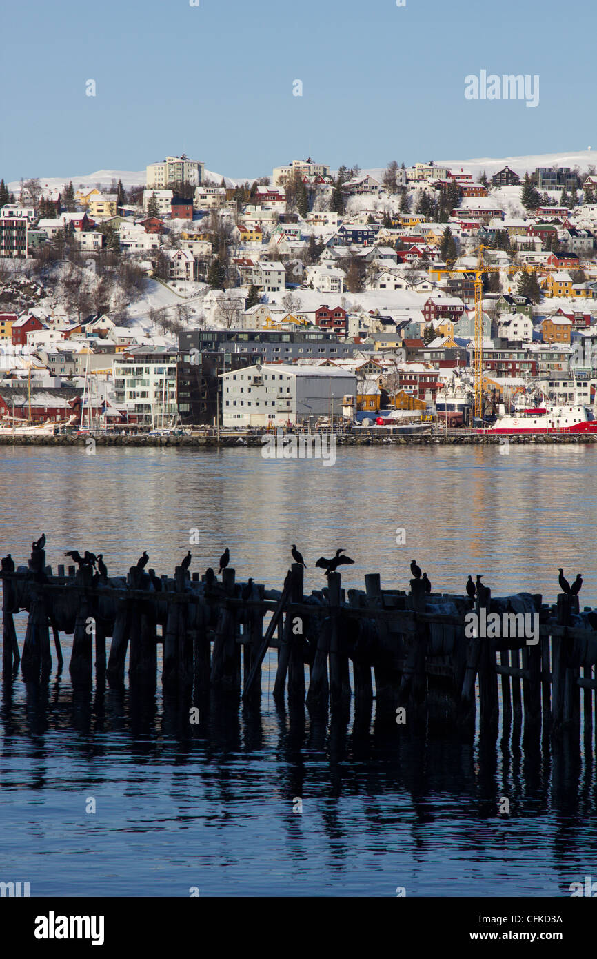 Tromso arctic university hi-res stock photography and images - Alamy