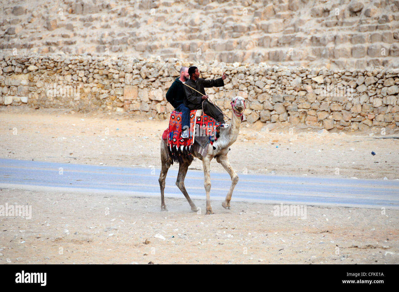 Camel riding along side of the great pyramid at Cairo middle east Stock ...