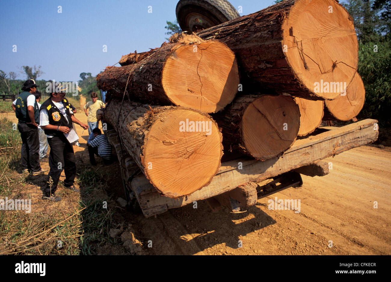 Ibama deforestation hi-res stock photography and images - Alamy