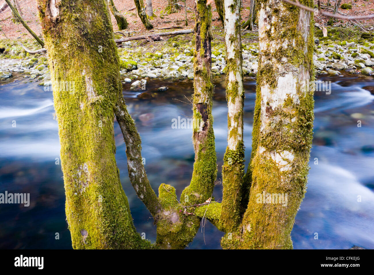 Flowing river, long exposure tripod shot longexposure scenic long ...