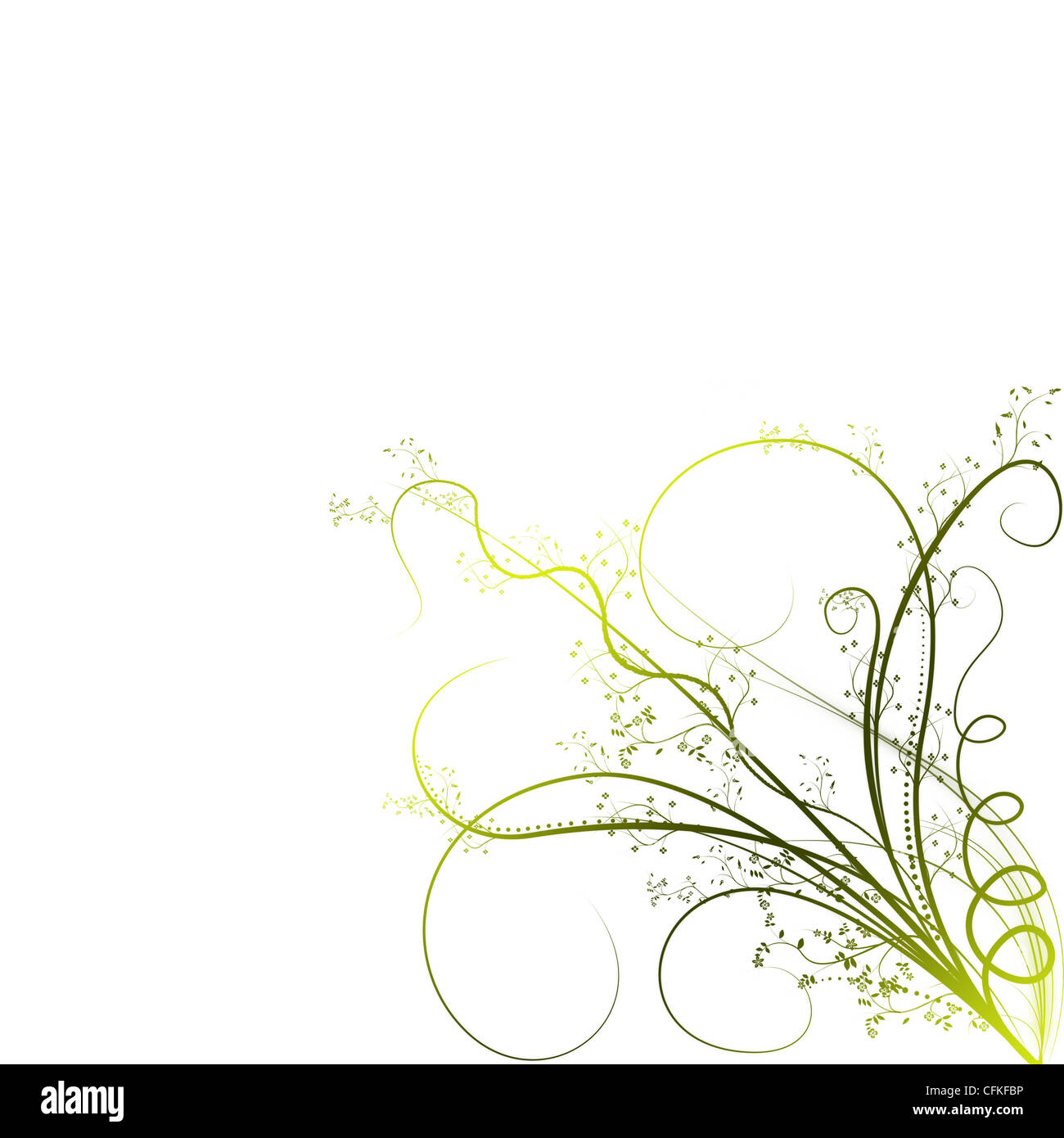 Beautiful illustrated flower background design with space for your text ...