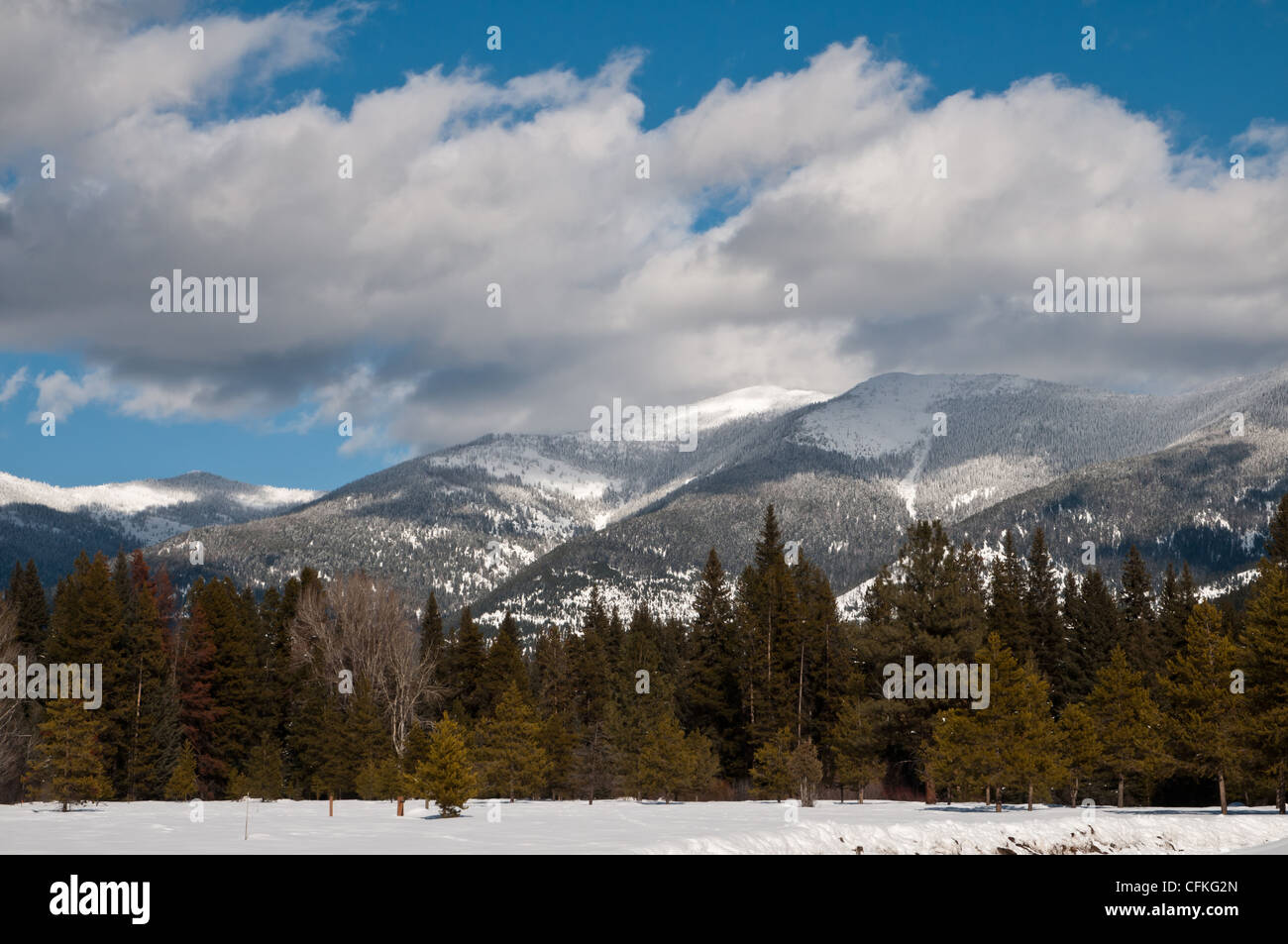 Swan Range at Seeley Lake, Montana in winter Stock Photo - Alamy