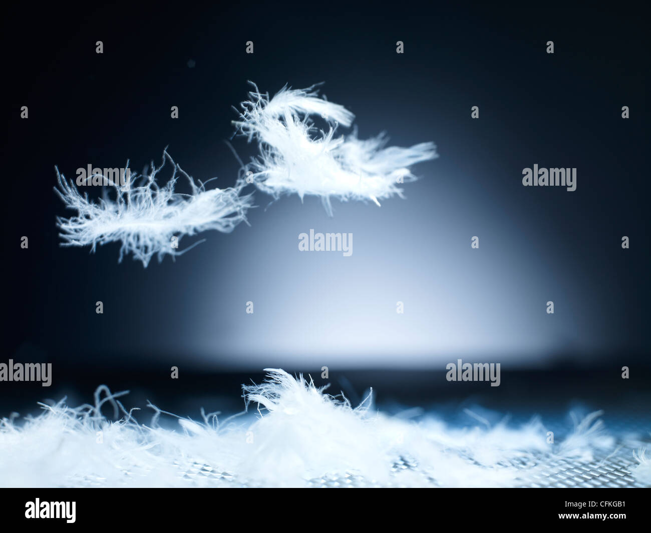 Feathers falling hi-res stock photography and images - Alamy