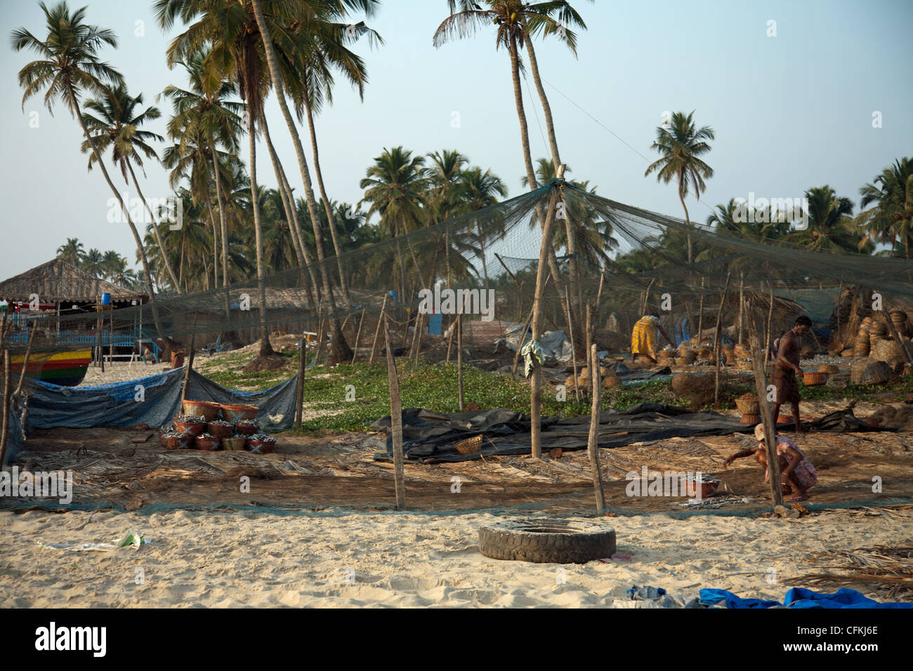 Palm trees and fishing boats on Colva Beach in India Stock Photo - Alamy