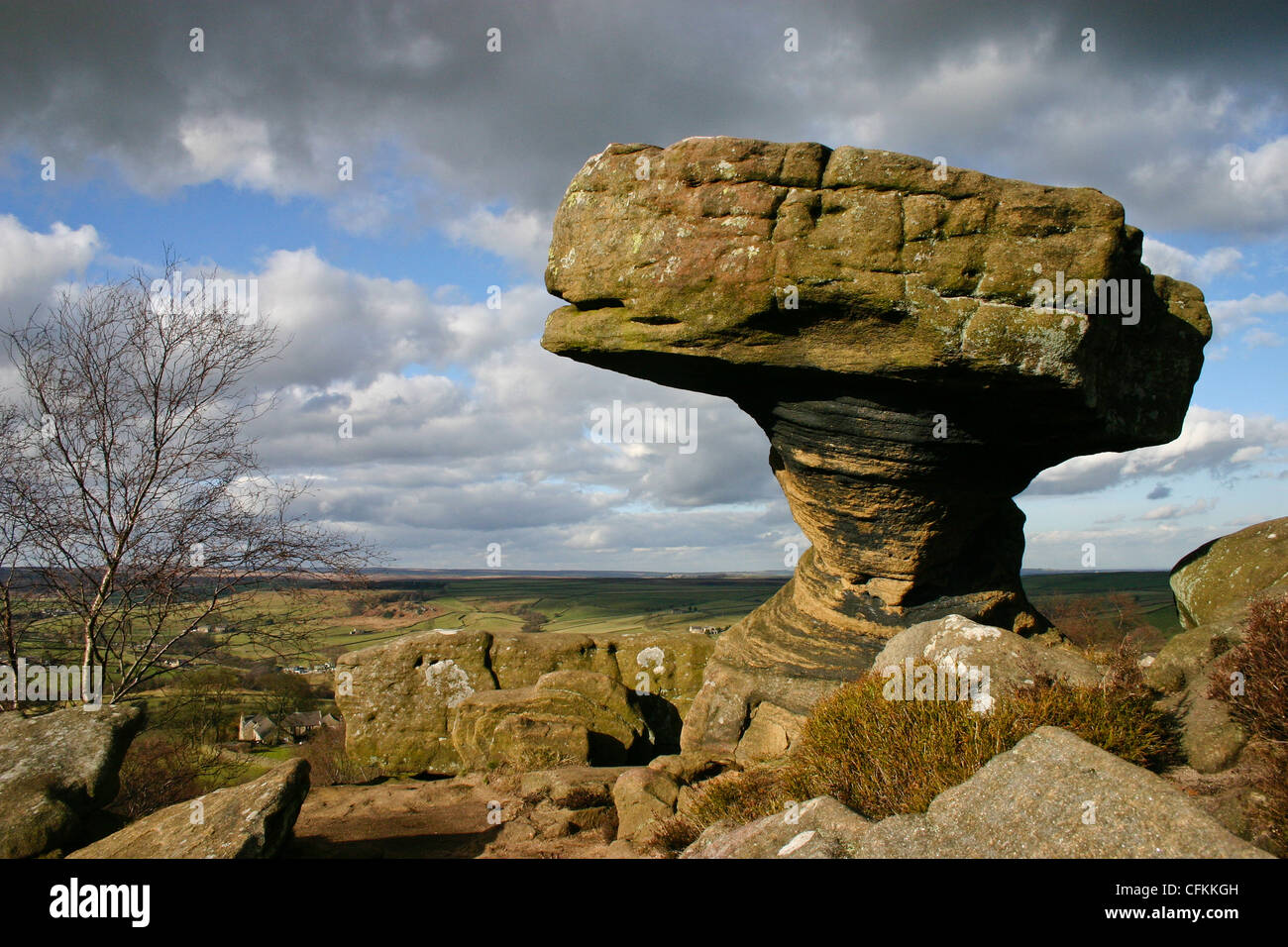 The Druid's Writing Desk, Brimham Rocks in North Yorkshire Stock Photo ...