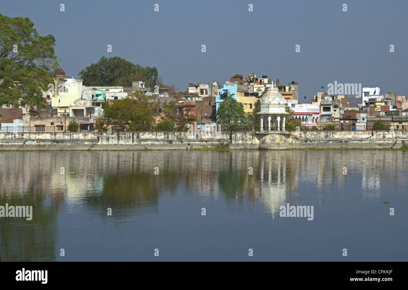 Trees udaipur hi-res stock photography and images - Alamy