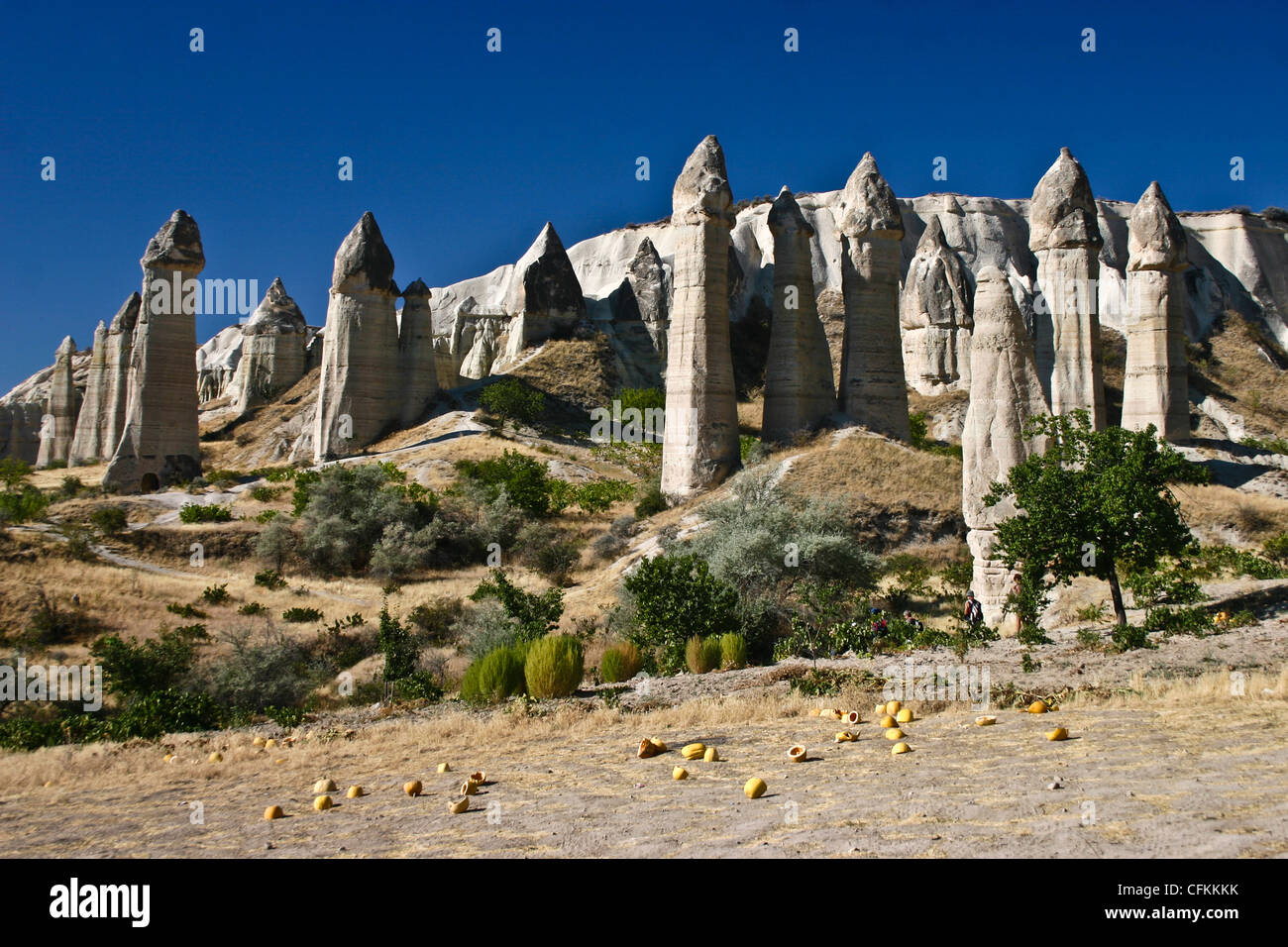 Fairy chimneys, Cappadocia in Turkey Stock Photo - Alamy