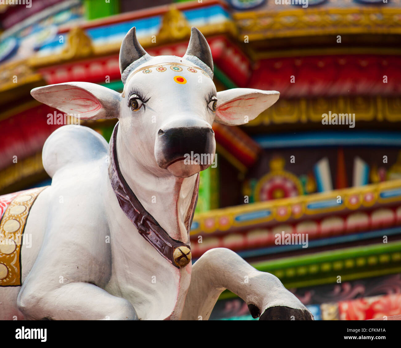 Hindu Cow God Statue at Alexandra Duigan blog