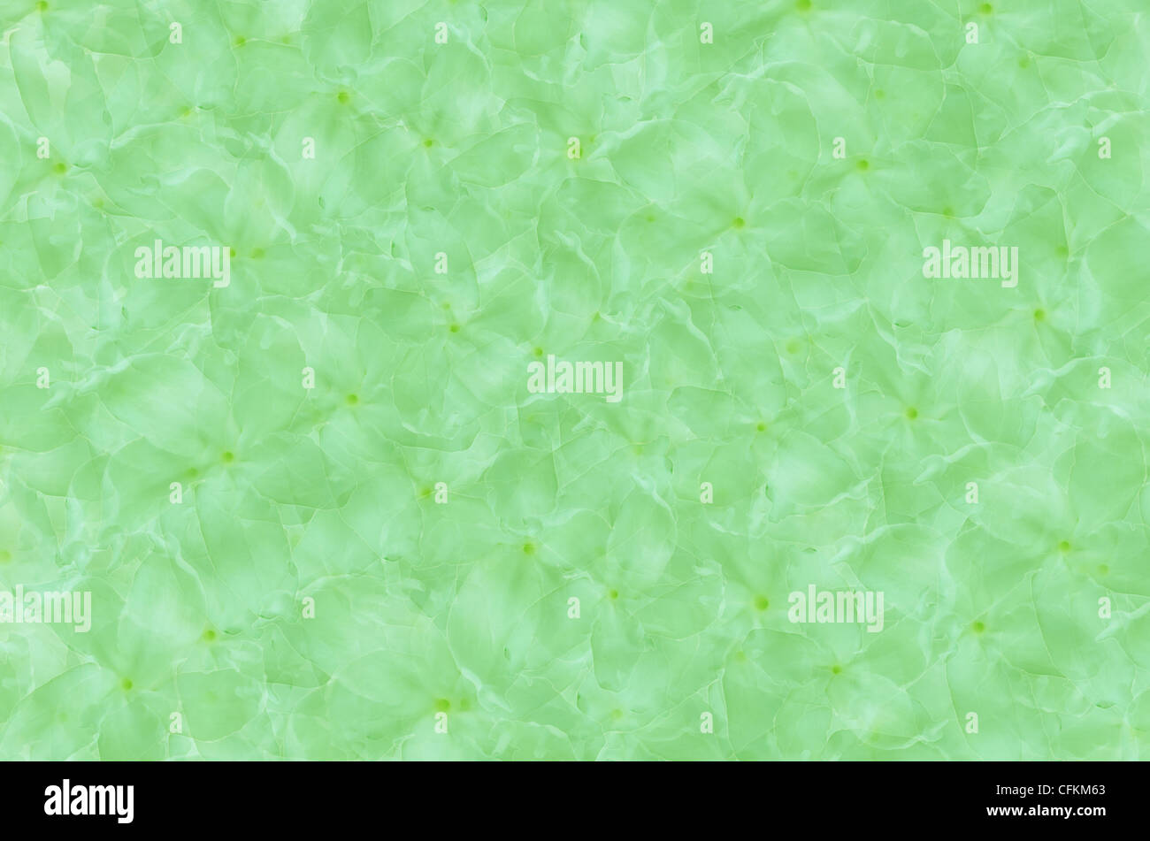 Abstract flower background hi-res stock photography and images - Alamy