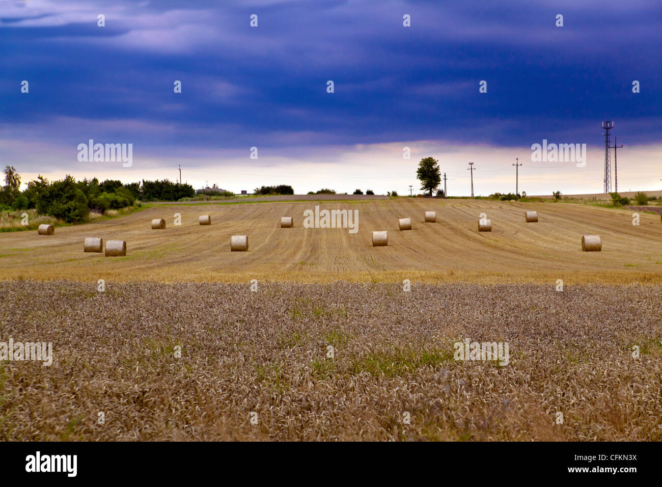 Summer landscape with wind turbines Stock Photo - Alamy