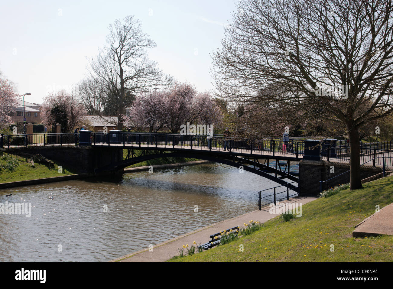 The ladies bridge hi-res stock photography and images - Alamy
