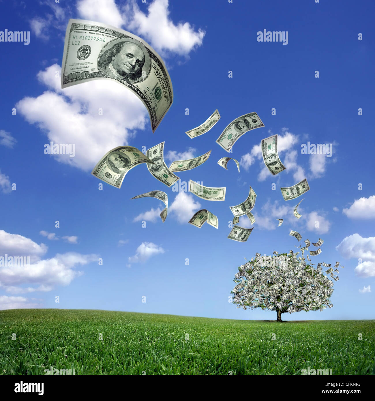 falling dollar bills from money tree Stock Photo - Alamy
