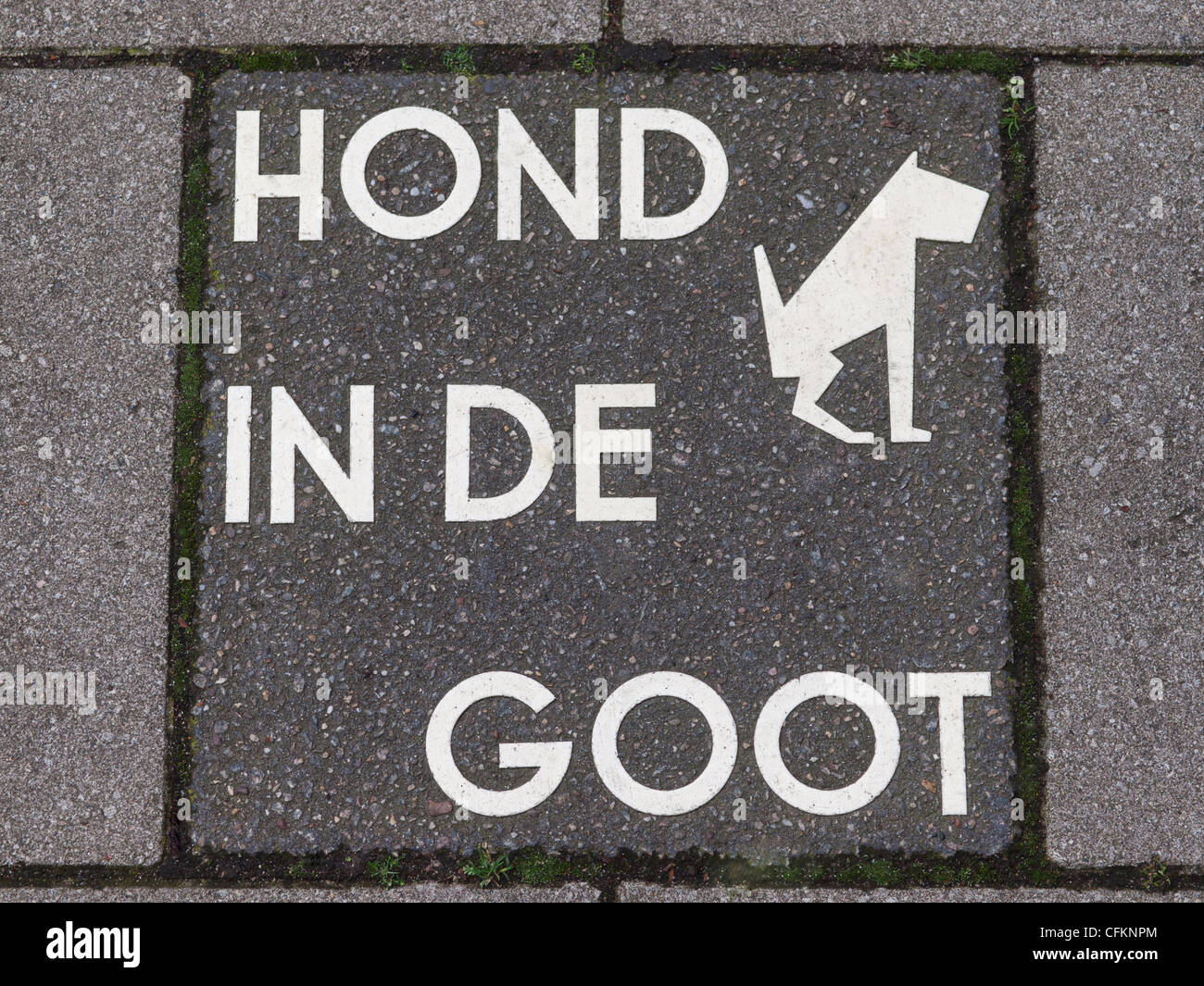 Dutch pavement sign for dog owners Stock Photo - Alamy