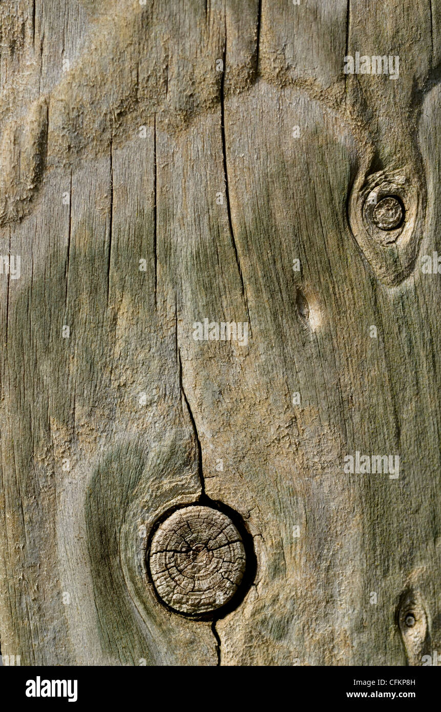 Close detail of wooden post surface texture Stock Photo - Alamy