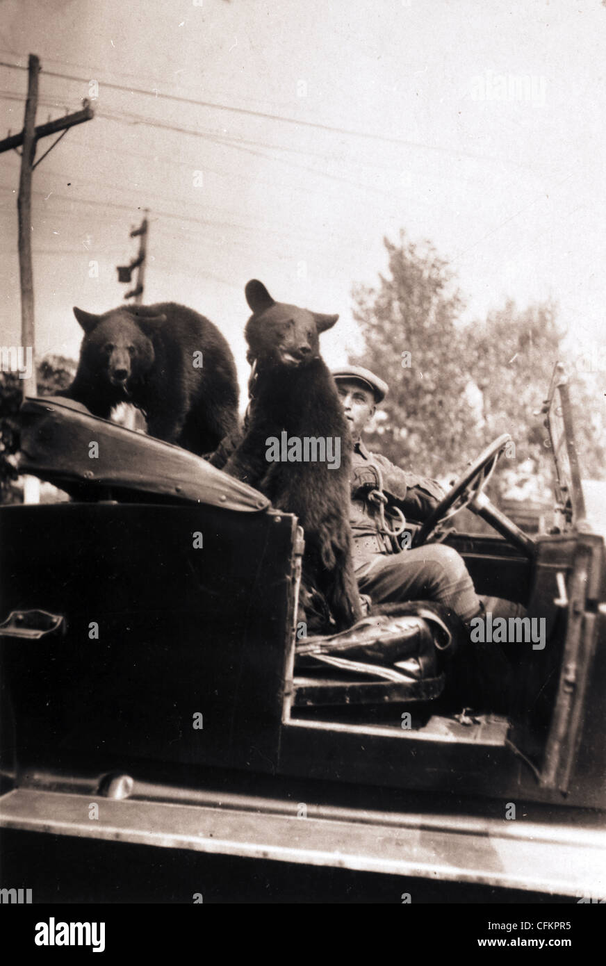 Hitchhiking animals hi-res stock photography and images - Alamy