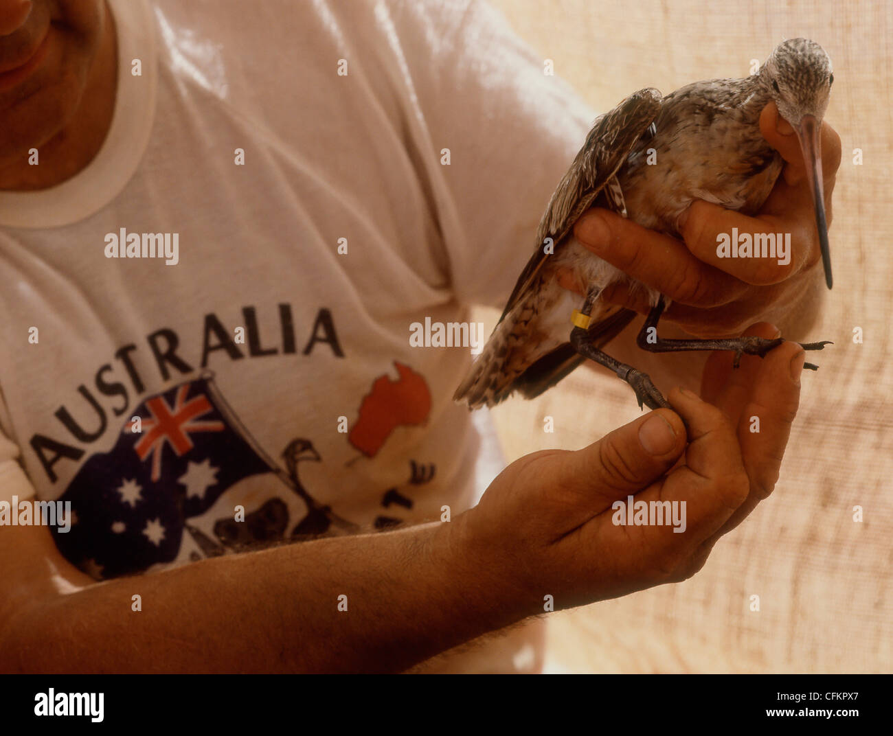 Census australia hi-res stock photography and images - Alamy