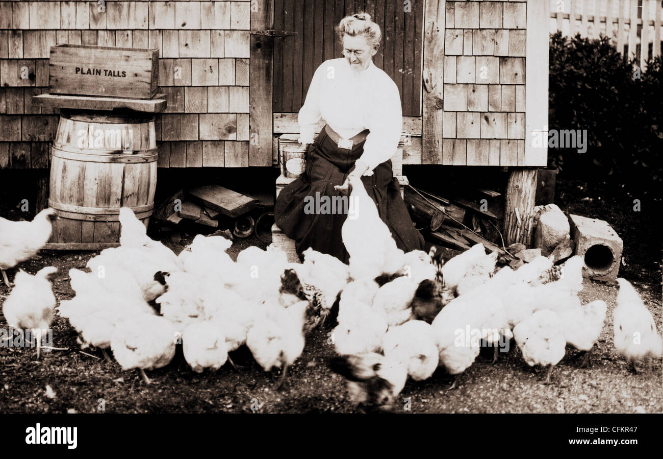 Old Woman Feeding Flock of Chickens Stock Photo - Alamy