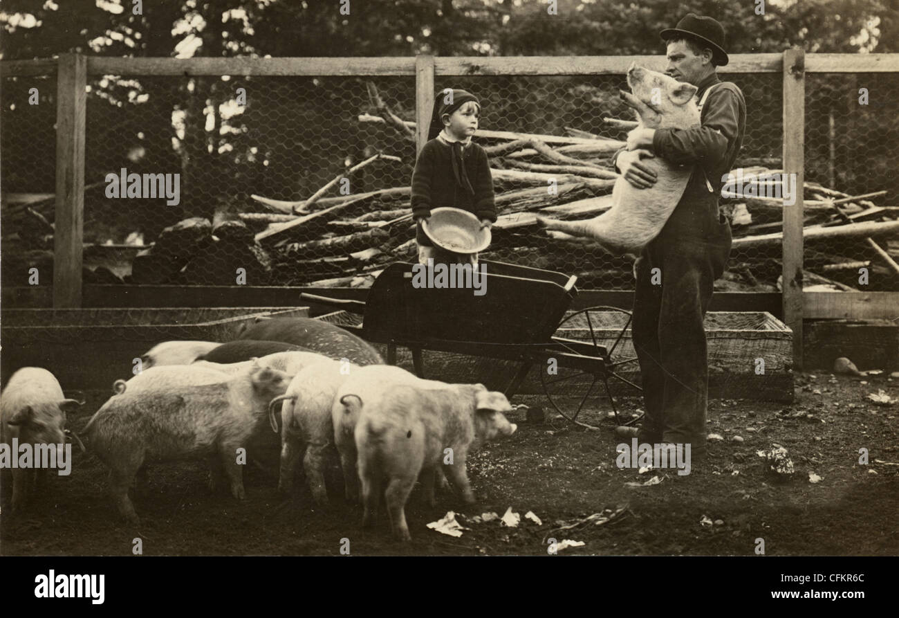 Carrying pig hi-res stock photography and images - Alamy