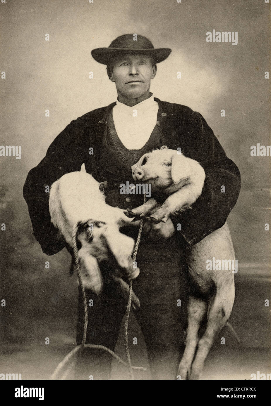 Peasant Farmer Carrying Two Pigs Stock Photo - Alamy