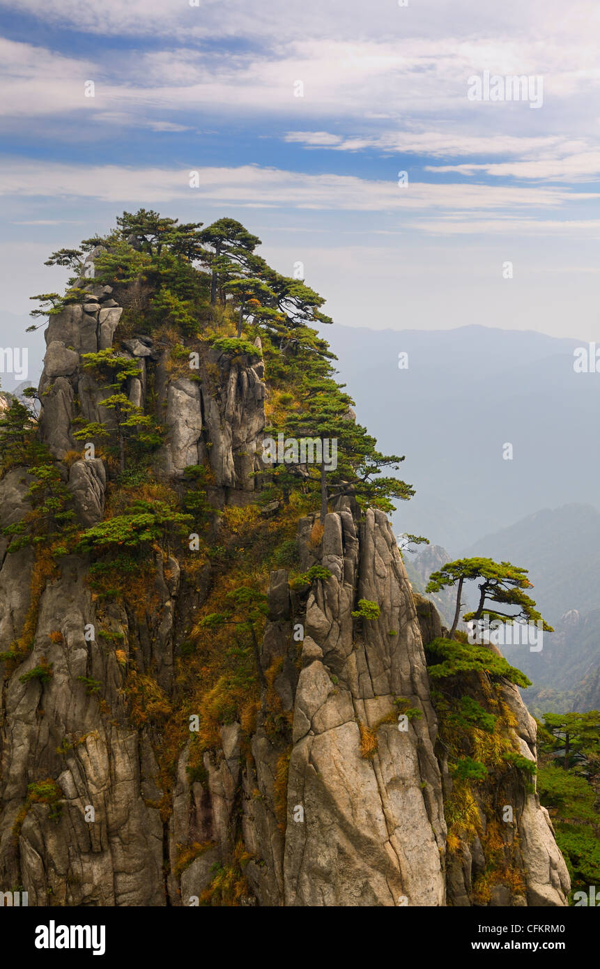 Huangshan pine hi-res stock photography and images - Alamy
