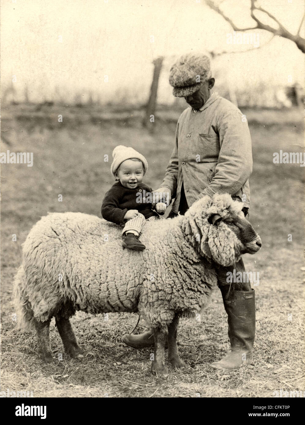 Boy And Sheep High Resolution Stock Photography and Images - Alamy