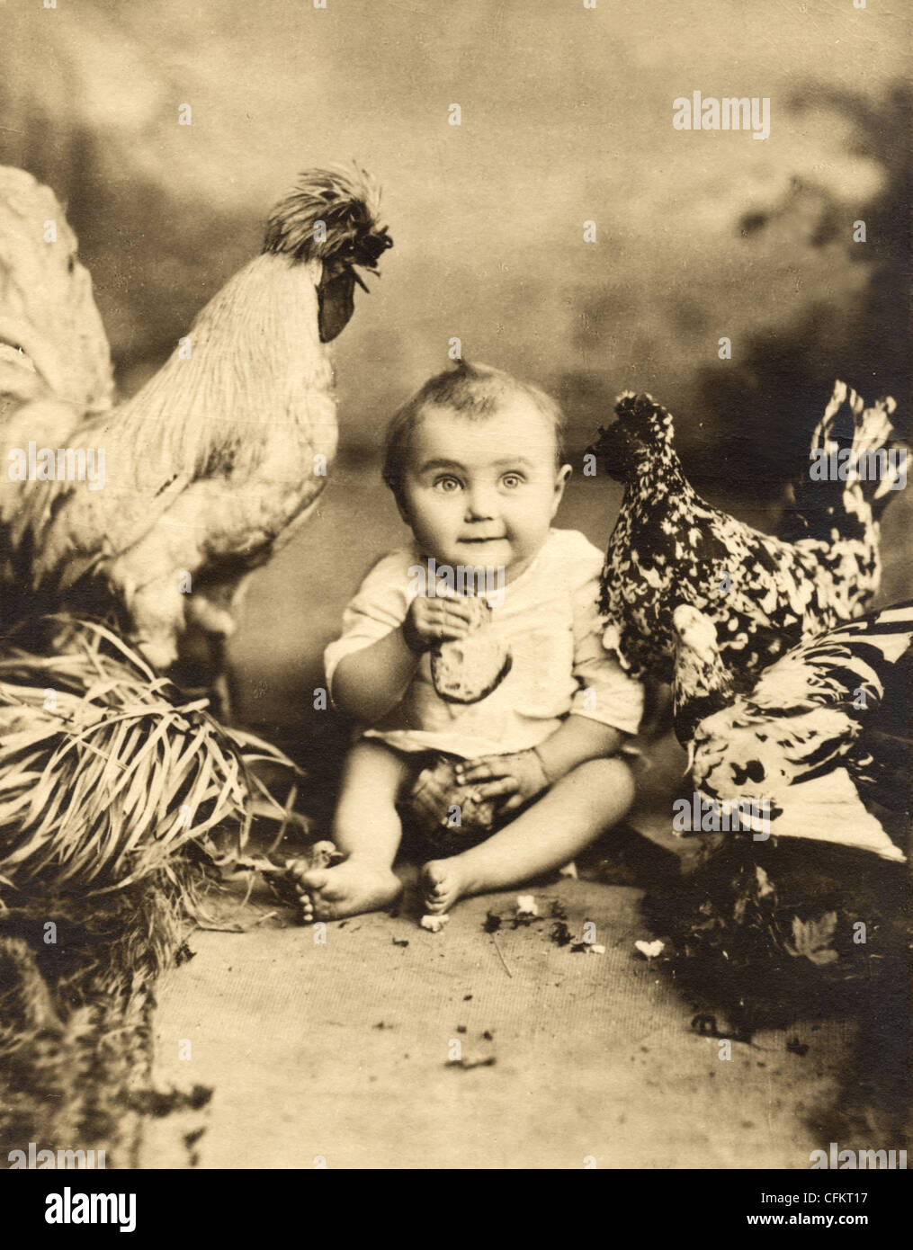 Vintage farm chickens hi-res stock photography and images - Alamy