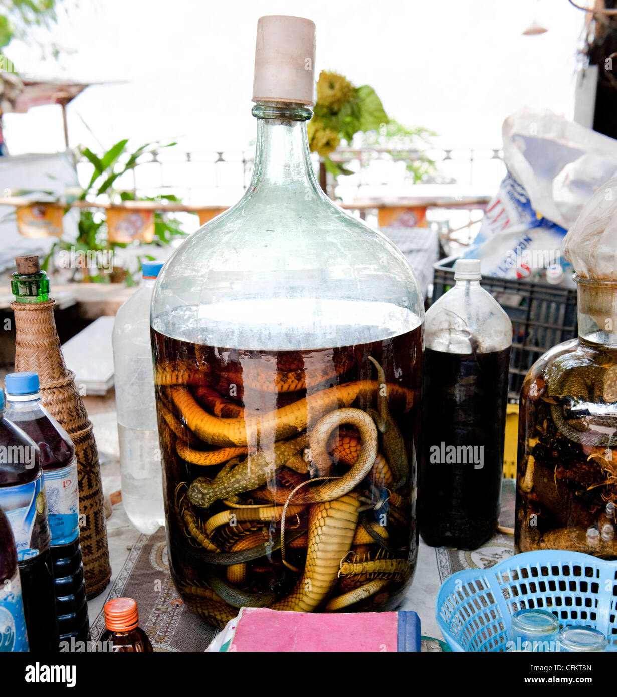 Pickled snake hi-res stock photography and images - Alamy