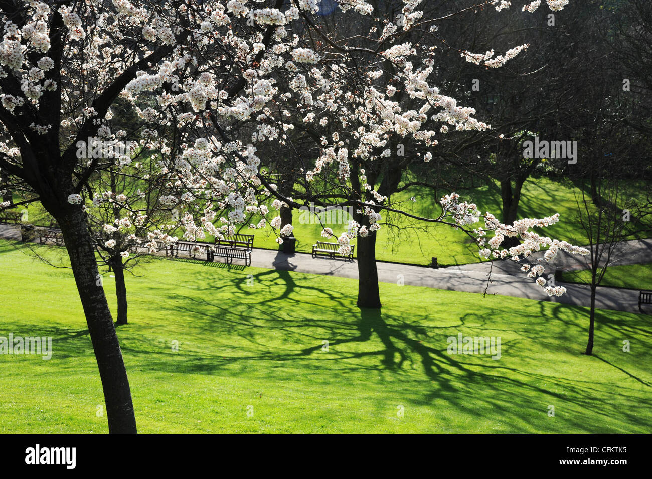 Edinburgh bench gardens hi-res stock photography and images - Alamy