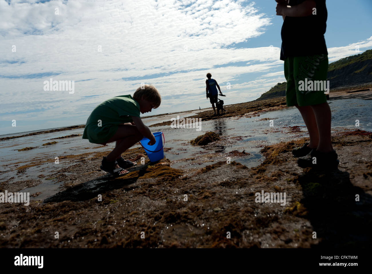 Boys exploring rock pools on the beach at Lyme Regis, Dorset Stock ...