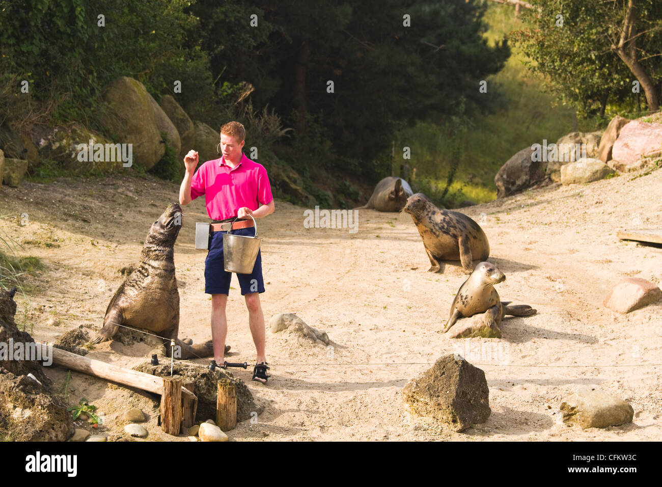 Dolfinarium hi-res stock photography and images - Alamy