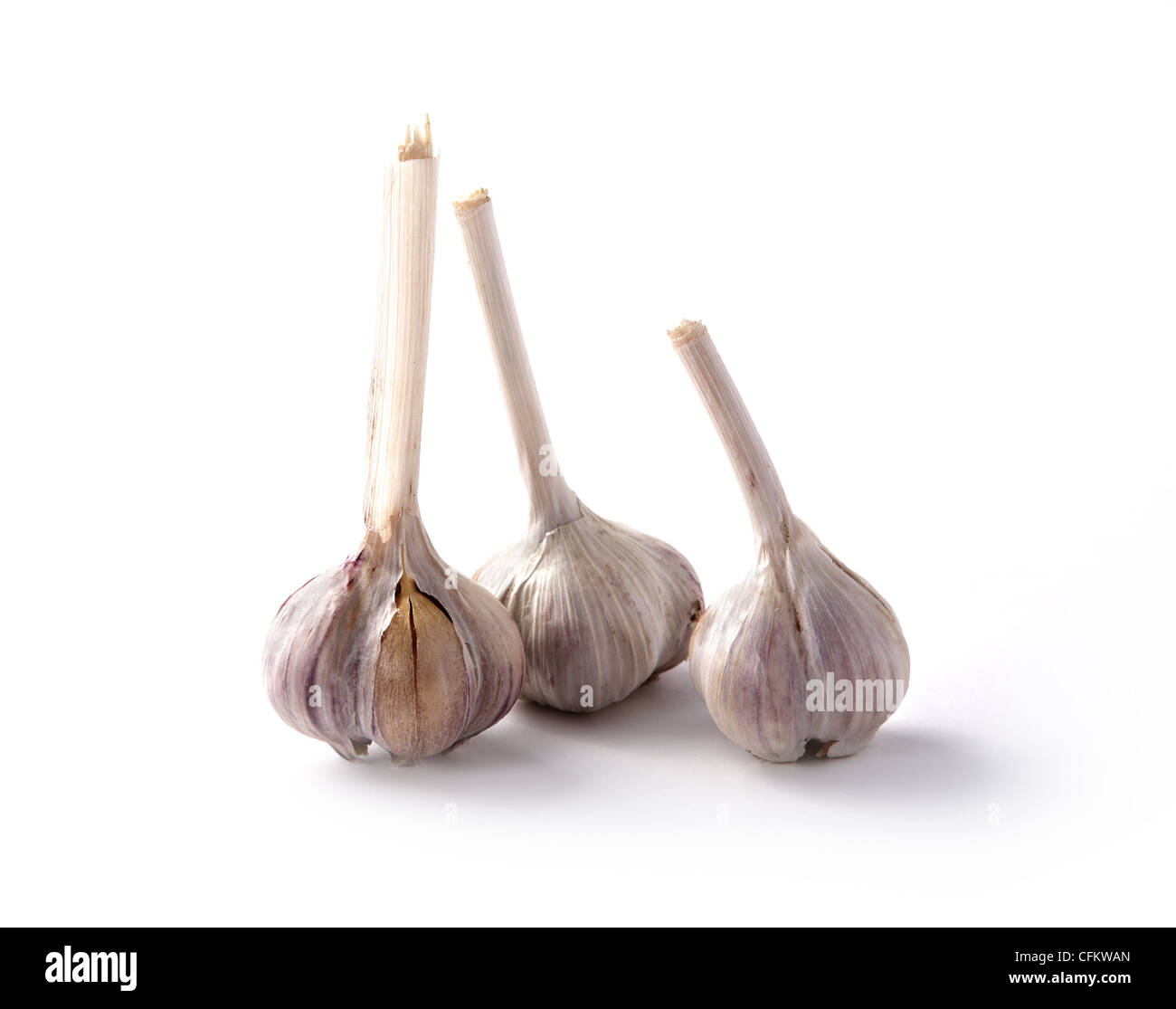 bunch garlic isolated on a white background Stock Photo - Alamy